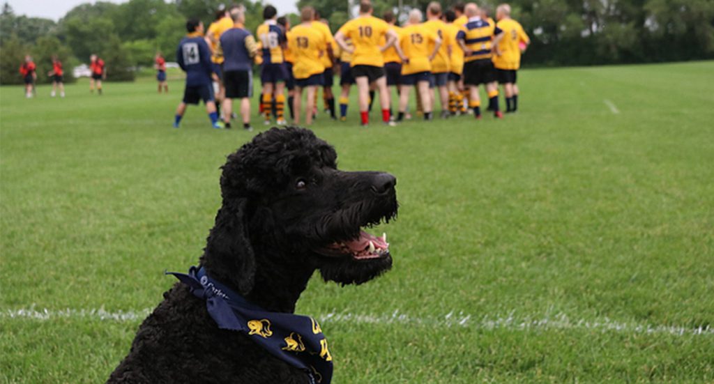 Get Involved - The FOCR